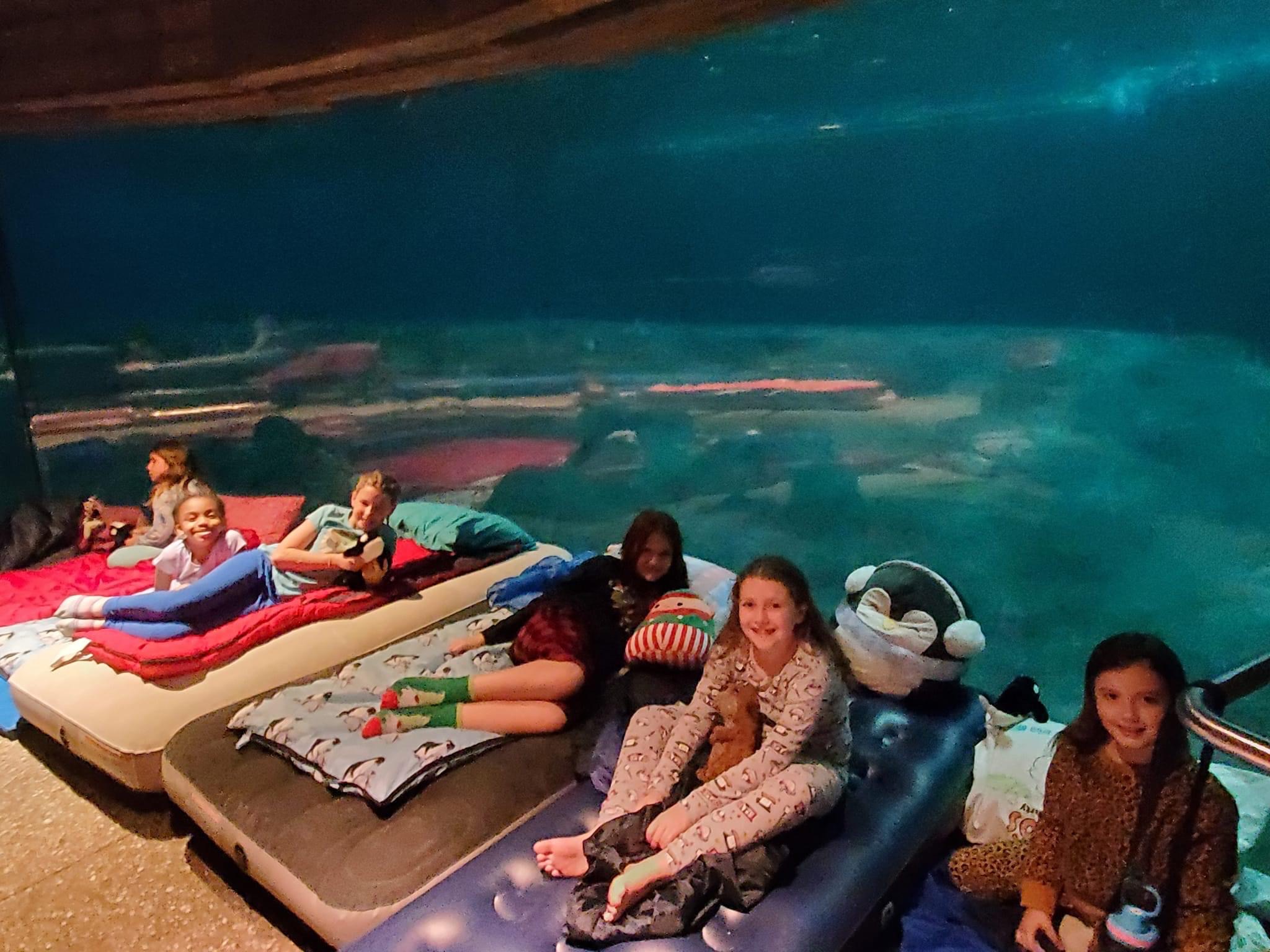 SeaWorld Sleepover: A fin-tastic time – Girl Scout Troop 2059, Citrus ...