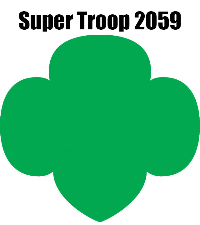 Girl Scout Troop 2059, Citrus Council